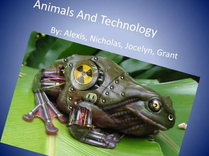 PPT - Animals And Technology PowerPoint Presentation, free download ...