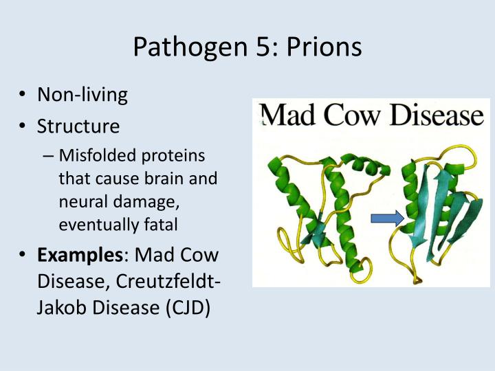 PPT - Introduction to Infectious Disease PowerPoint Presentation - ID ...