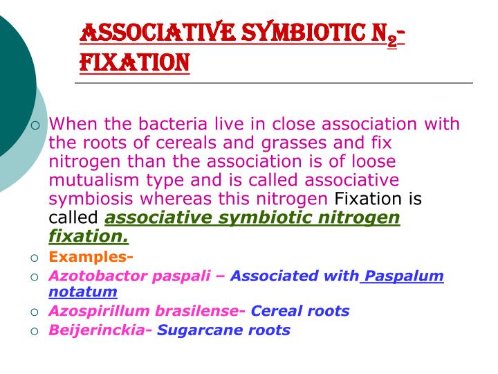 PPT - NITROGEN METABOLISM FIXATION PowerPoint Presentation - ID:3721303