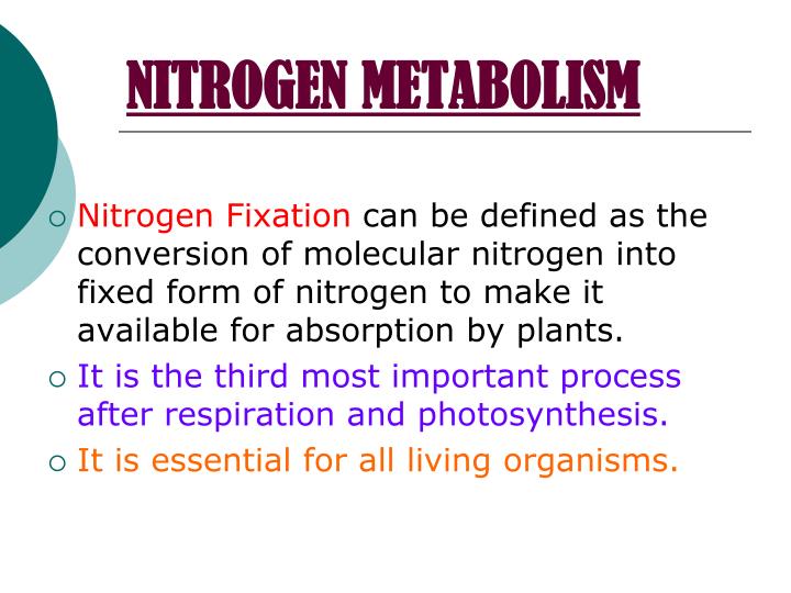 PPT - NITROGEN METABOLISM FIXATION PowerPoint Presentation - ID:3721303