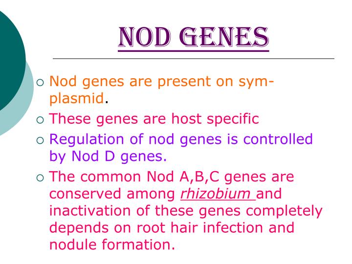 PPT - NITROGEN METABOLISM FIXATION PowerPoint Presentation - ID:3721303