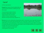PPT - Ecosisteme PowerPoint Presentation - ID:3721321