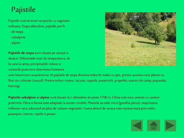 PPT - Ecosisteme PowerPoint Presentation - ID:3721321