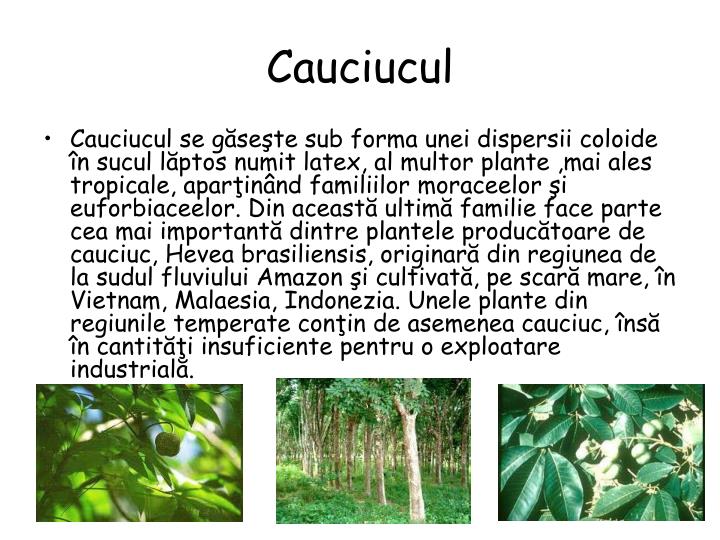 PPT - Materii prime si materiale din cauciuc PowerPoint Presentation ...