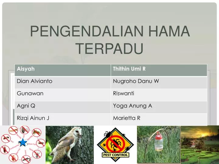 PPT - Pengendalian Hama Terpadu PowerPoint Presentation, free download ...