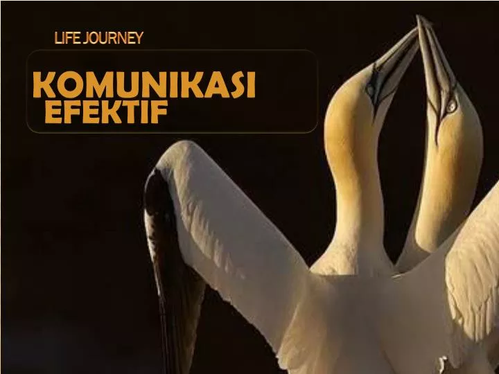PPT - LIFE JOURNEY PowerPoint Presentation, free download - ID:3723355