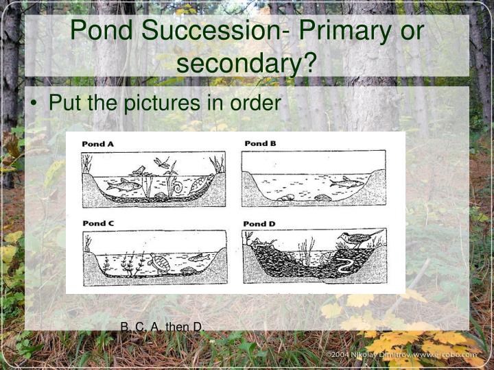 PPT - Changes in Ecosystems: Ecological Succession PowerPoint ...