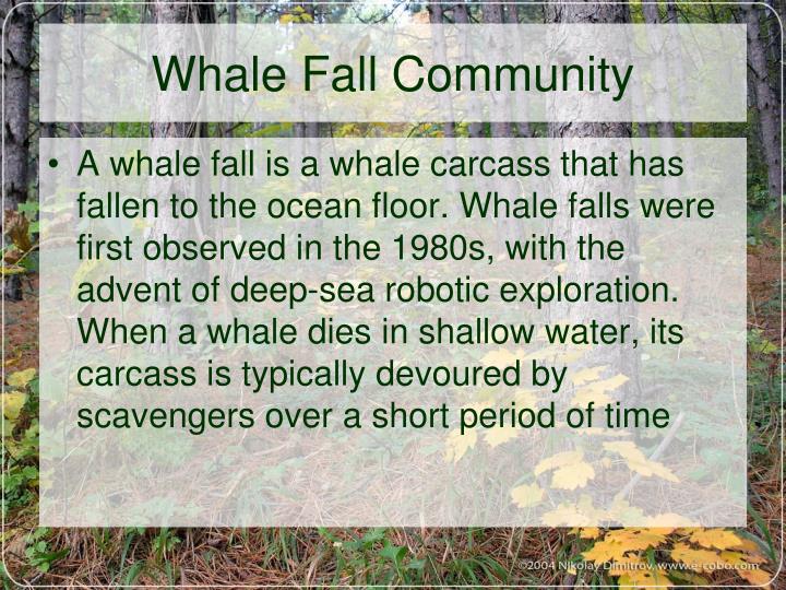 PPT - Changes in Ecosystems: Ecological Succession PowerPoint ...
