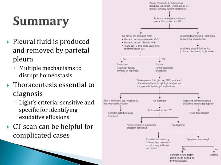 PPT - Diagnostic Approach to Pleural Effusion PowerPoint Presentation ...