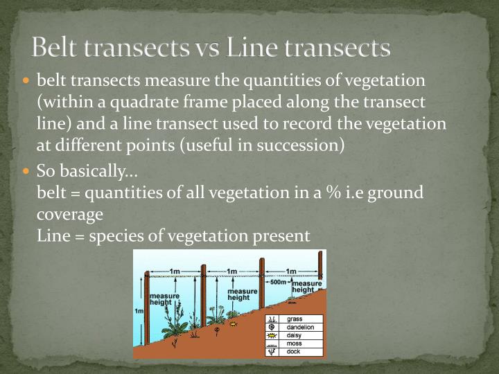 PPT - Sampling Techniques PowerPoint Presentation - ID:3724385