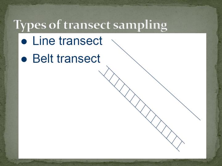 PPT - Sampling Techniques PowerPoint Presentation - ID:3724385