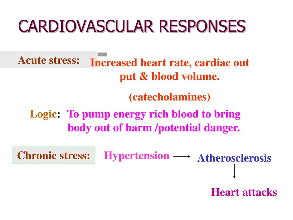 PPT - BIOLOGY OF STRESS PowerPoint Presentation, free download - ID:3724454