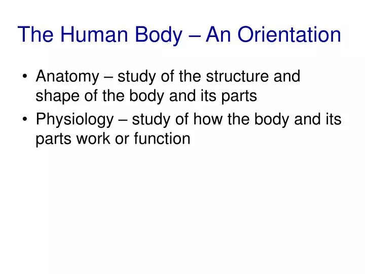 PPT - The Human Body – An Orientation PowerPoint Presentation, free ...