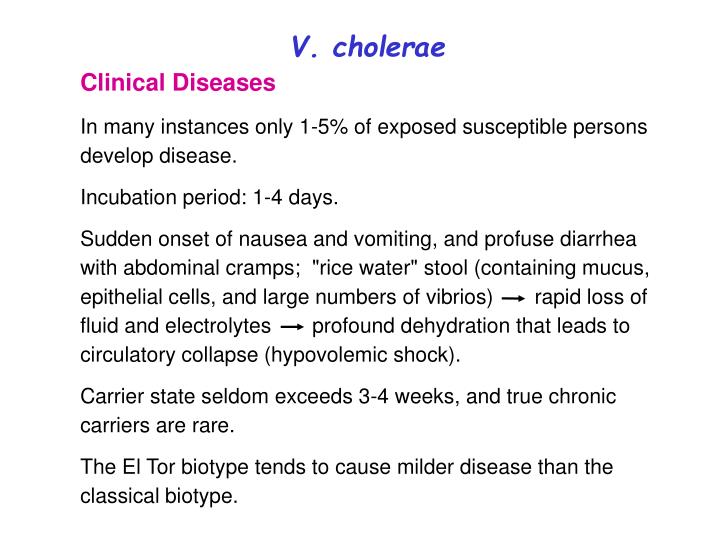 PPT - Vibrio V. cholerae : cholera V. parahaemolyticus ...
