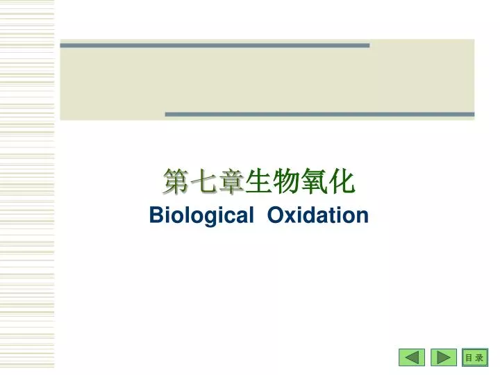 PPT - 第七章 生物氧化 Biological Oxidation PowerPoint Presentation - ID:3726858