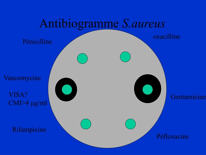 PPT - Antibiotiques - DCEM1 PowerPoint Presentation - ID:3727254
