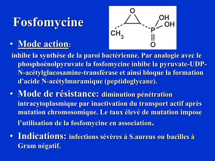 PPT - Antibiotiques - DCEM1 PowerPoint Presentation - ID:3727254