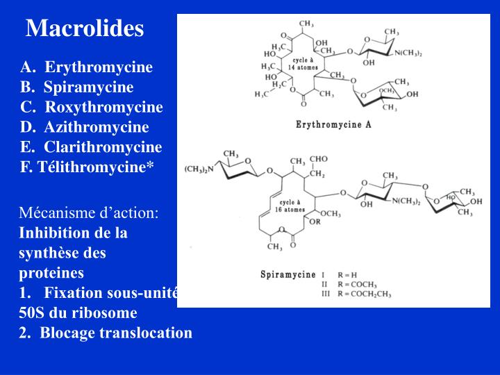 PPT - Antibiotiques - DCEM1 PowerPoint Presentation - ID:3727254