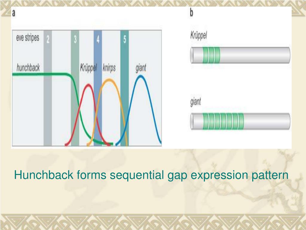 PPT - Chapter 18 PowerPoint Presentation, free download - ID:3727818