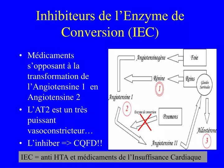 PPT - Inhibiteurs de l’Enzyme de Conversion (IEC) PowerPoint ...