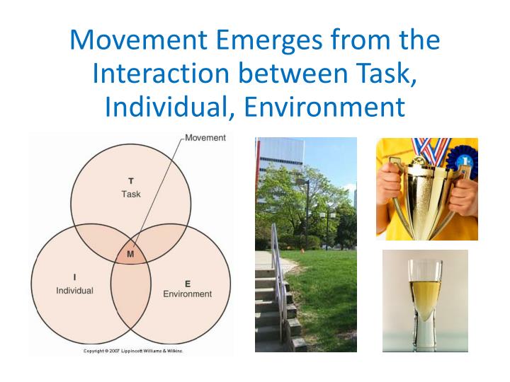 PPT - PTP 512 Neuroscience in Physical Therapy Motor Control: Issues ...
