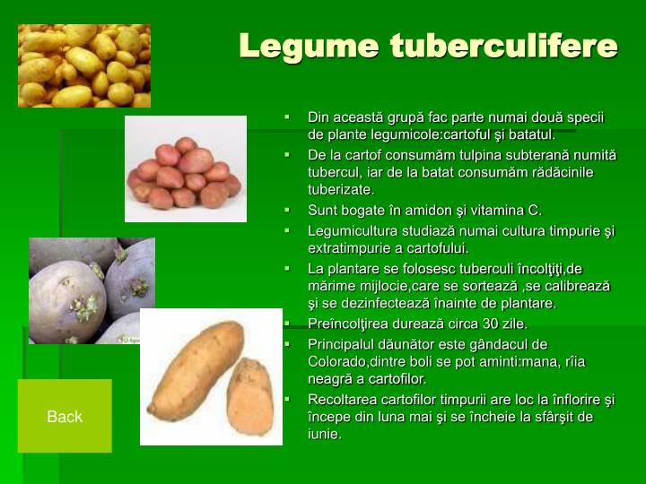 PPT - Alimente de origine vegetală PowerPoint Presentation - ID:3734739