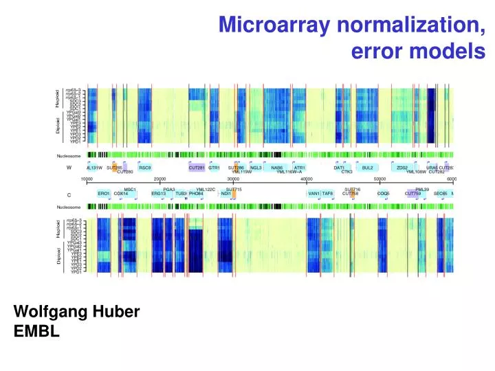 PPT - Microarray normalization, error models PowerPoint Presentation, free download - ID:3735443
