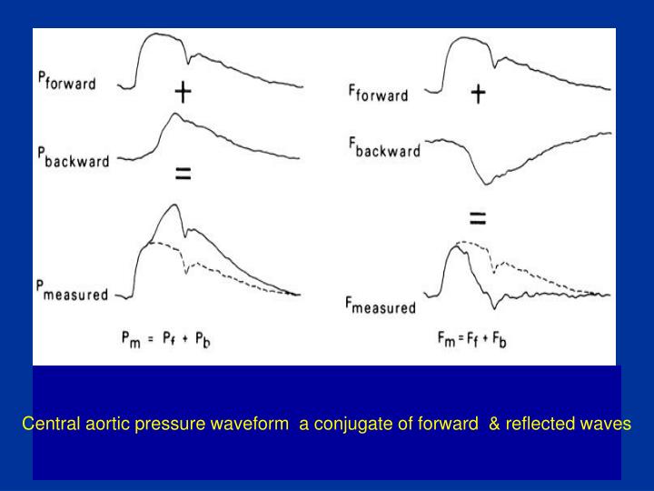 PPT - Cathlab hemodynamics – 1 pressures, waveforms ,cardiac output and ...