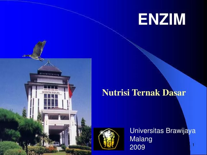 PPT - ENZIM PowerPoint Presentation, free download - ID:3735625