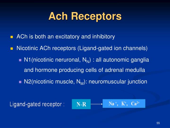 PPT - Neurotransmitter PowerPoint Presentation - ID:3735781