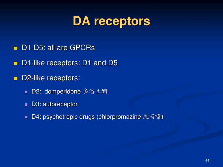 PPT - Neurotransmitter PowerPoint Presentation - ID:3735781