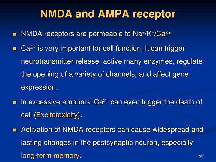 PPT - Neurotransmitter PowerPoint Presentation - ID:3735781