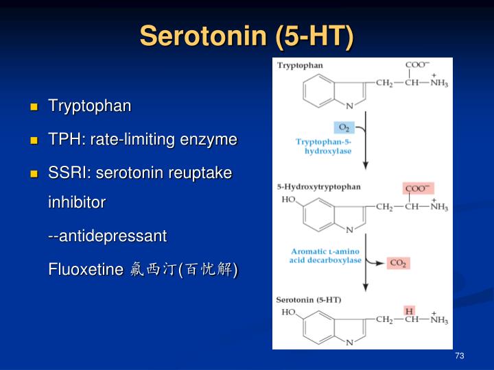 PPT - Neurotransmitter PowerPoint Presentation - ID:3735781