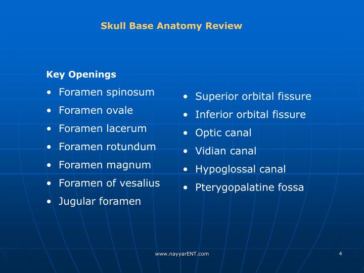 PPT - Surgical Anatomy of Skull Base PowerPoint Presentation - ID:3735856