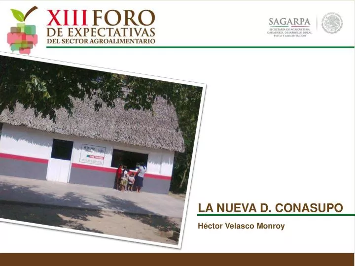 PPT - LA NUEVA D. CONASUPO PowerPoint Presentation, free download - ID ...