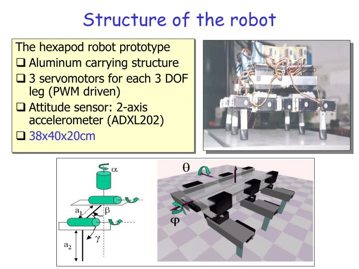PPT - Bio-inspired locomotion control of hexapods PowerPoint Presentation - ID:3736608