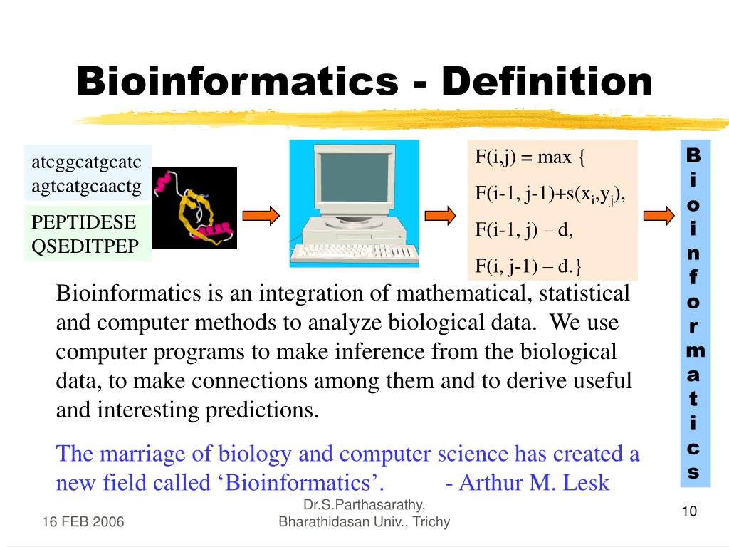 Ppt Sequence Alignment Algorithms Application To Bioinformatics Tool Development Powerpoint