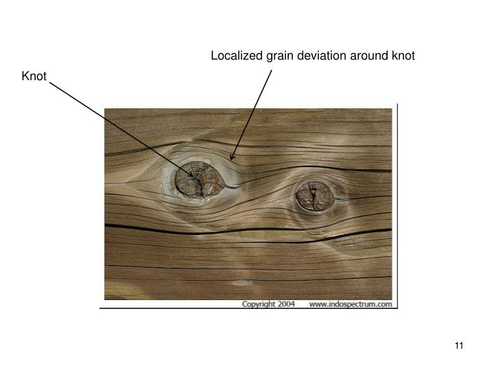 PPT - WOOD 280 – Macroscopic wood anatomy features PowerPoint ...