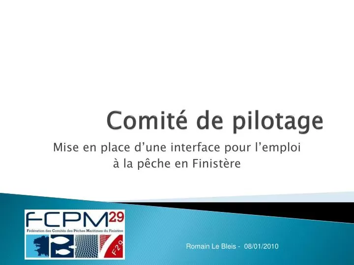 PPT - Comité de pilotage PowerPoint Presentation, free download - ID:3739490