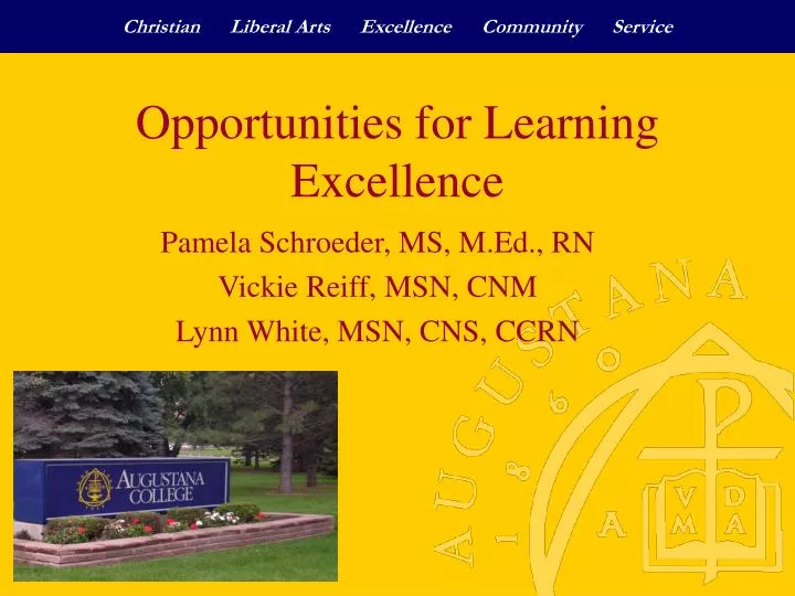 PPT - Opportunities for Learning Excellence PowerPoint Presentation ...
