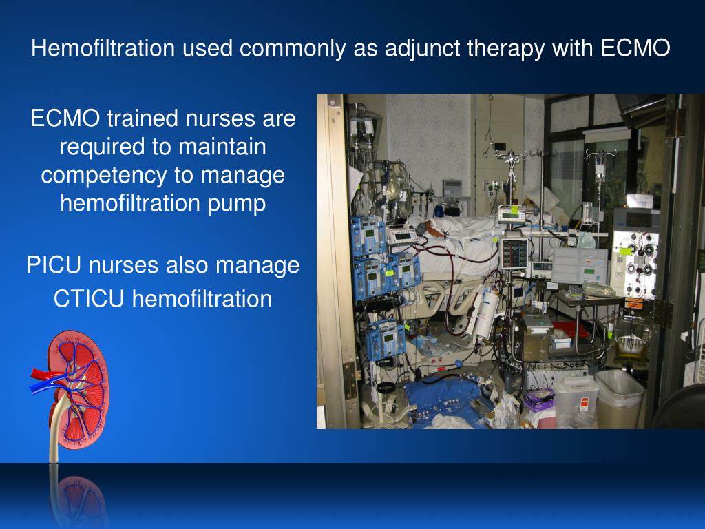 PPT - Colleene Young RN, BSN, CCRN PICU Clinical Nurse IV Childrens ...