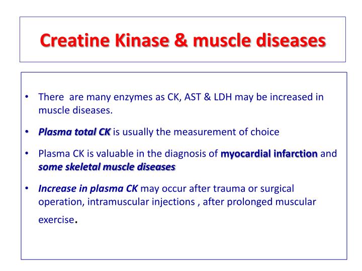 PPT - Creatine Metabolism PowerPoint Presentation - ID:3741675