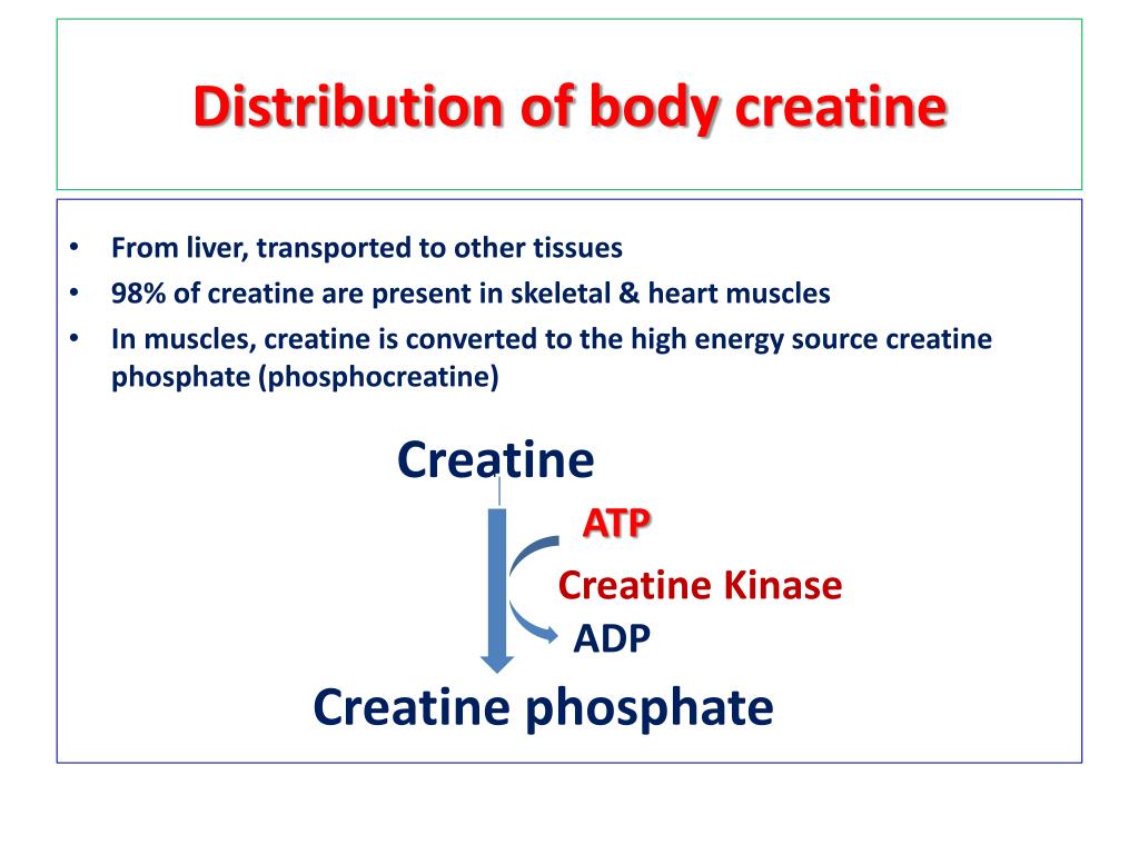 Ppt Creatine Metabolism Powerpoint Presentation Free Download Id3741675