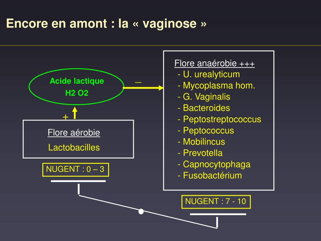 Ppt Vaginose Bactérienne Et Conséquences Obstétricales Powerpoint