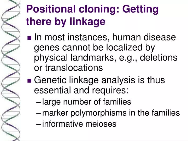 PPT - Positional cloning: Getting there by linkage PowerPoint ...