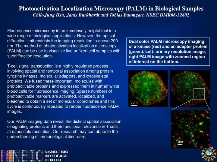 PPT - Photoactivation Localization Microscopy (PALM) in Biological ...