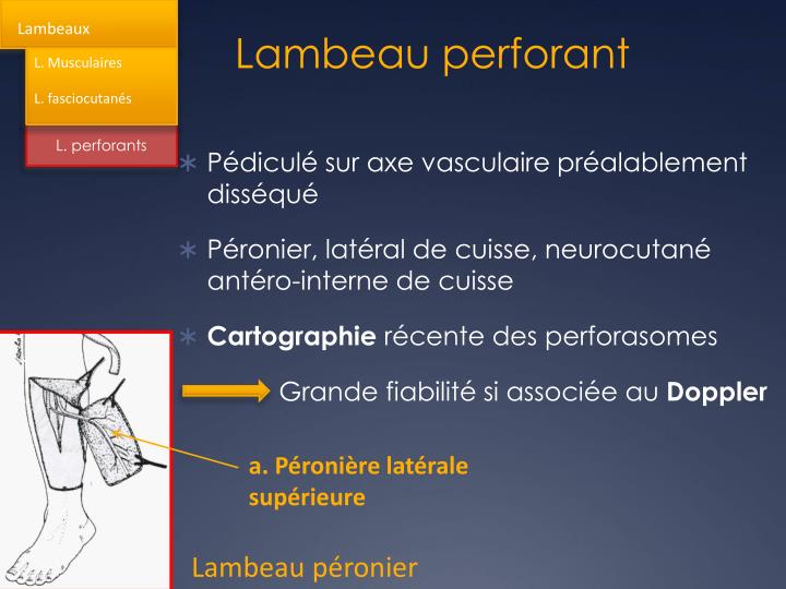 PPT - CAT devant une nécrose cutanée PowerPoint Presentation - ID:3746838