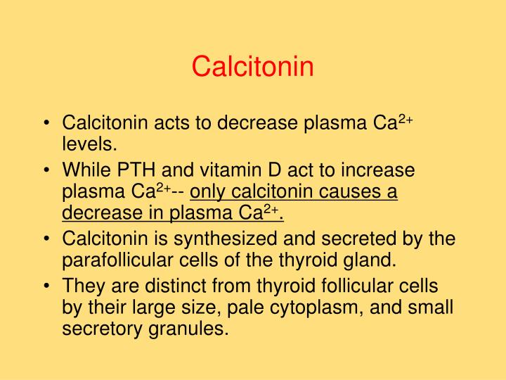PPT - Calcium Homeostasis: Parathyroid Hormone, Calcitonin and Vitamin ...