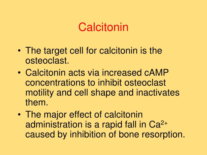 PPT - Calcium Homeostasis: Parathyroid Hormone, Calcitonin and Vitamin ...