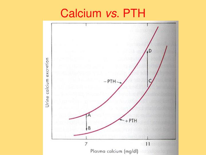 PPT - Calcium Homeostasis: Parathyroid Hormone, Calcitonin and Vitamin ...
